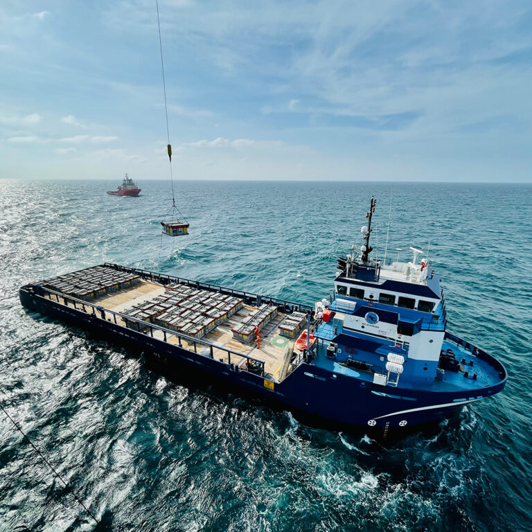 Tiger Offshore Rentals - Tiger Rentals